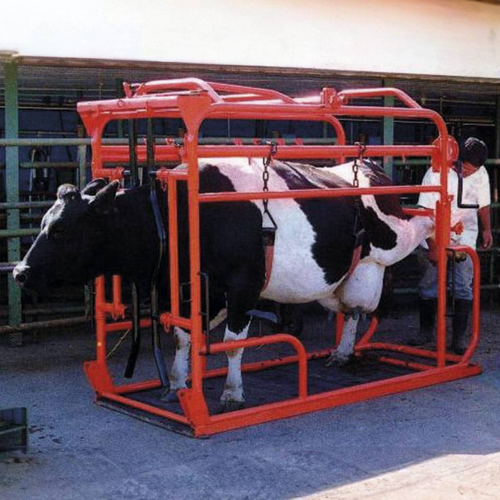 Brete ganadero para bovinos - Mayov.cl